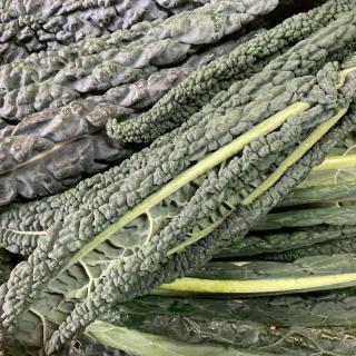 Schwarzkohl - aus eigenem Anbau | Eigener Anbau | Bio Gemüsehof Hörz